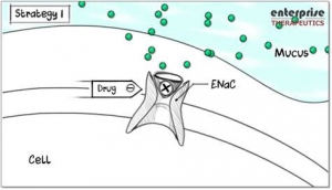 Muco-regulatory approach to treat respiratory diseases – Enterprise ...